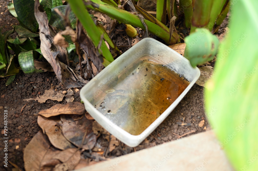 abandoned plastic bowl in a vase with stagnant water inside. close up ...