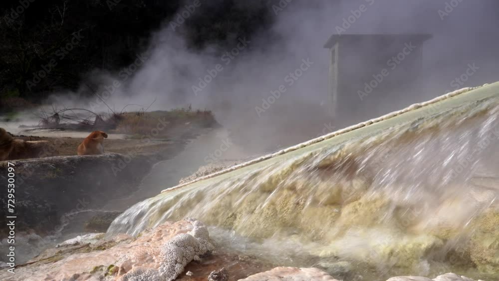 Stunning eruption of Geysir in middle of wild nature. Popular tourist ...