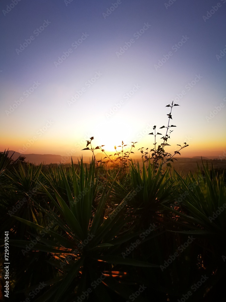 sun, sunset, mountain, costa rica, pura vida, beautiful, cloud, grass ...