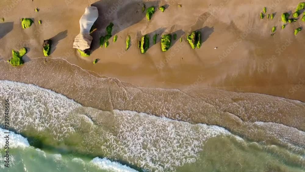 seaside beach green algae and golden sand beach wonderful camping trip ...