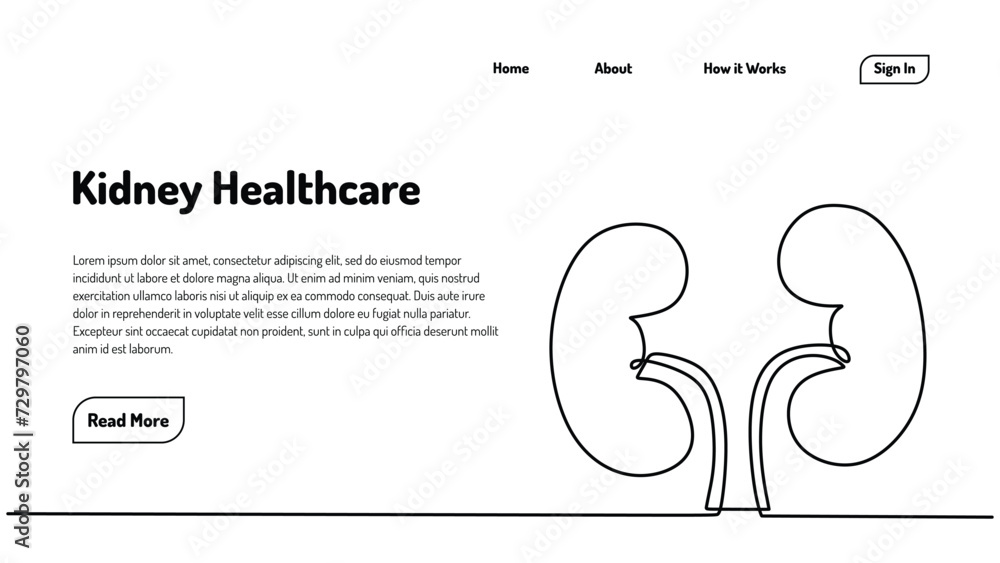Human kidneys one line drawing. Continuous single hand drawn organs ...