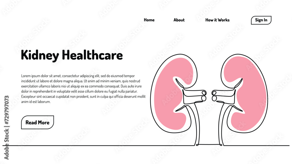 Human kidneys one line drawing. Continuous single hand drawn organs ...