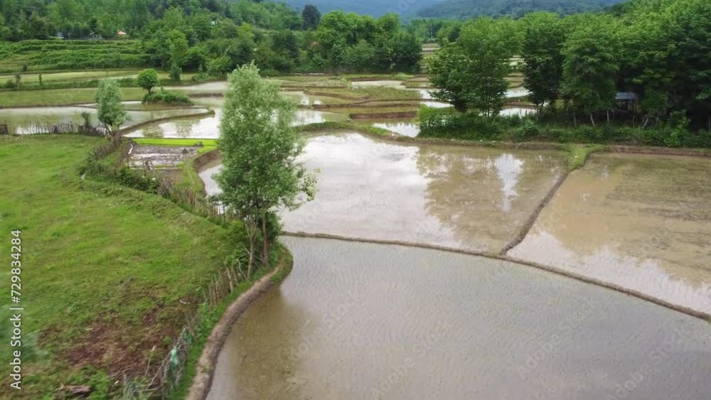 sky reflection on water pond the rice paddy field agriculture muddy ...
