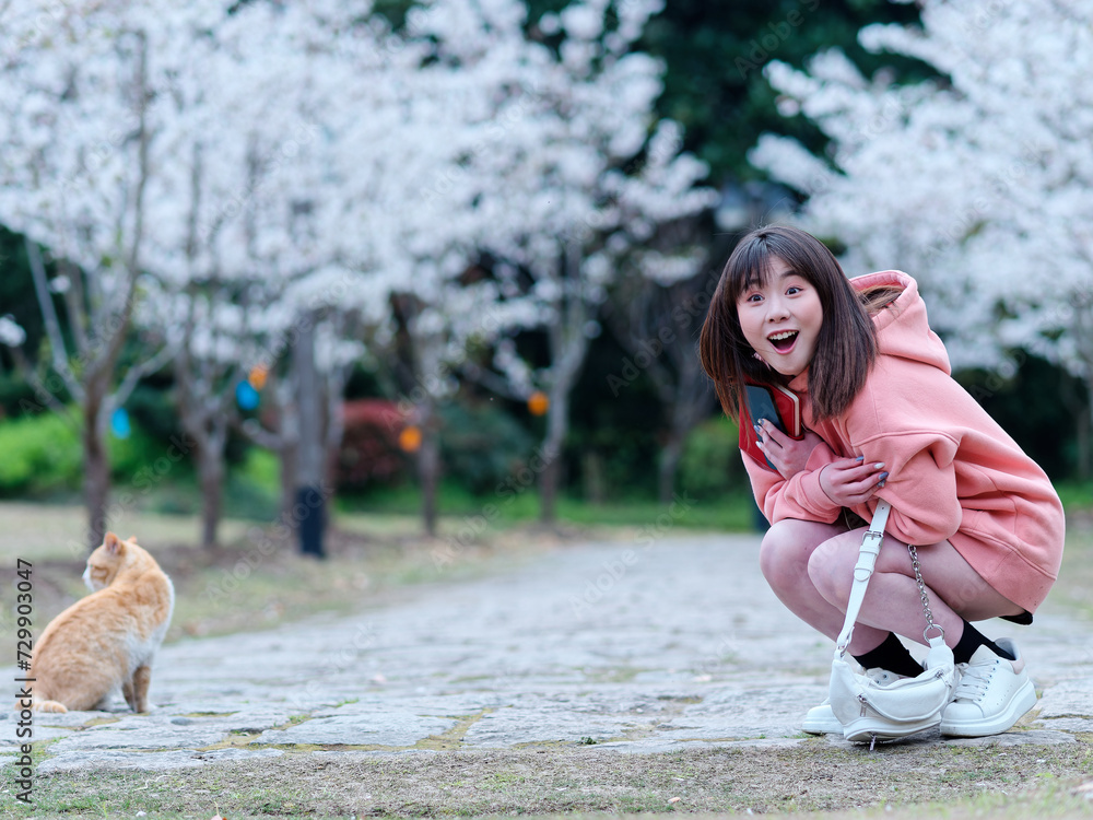 Beautiful young Chinese woman playing with homeless ginger tabby cat ...