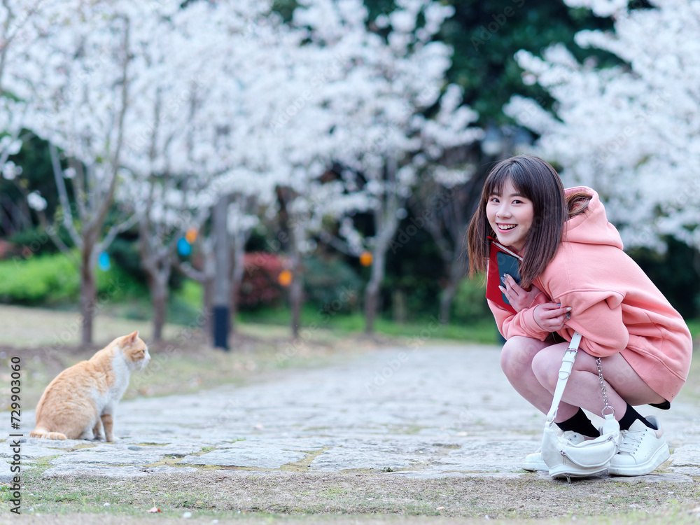 Beautiful young Chinese woman playing with homeless ginger tabby cat ...