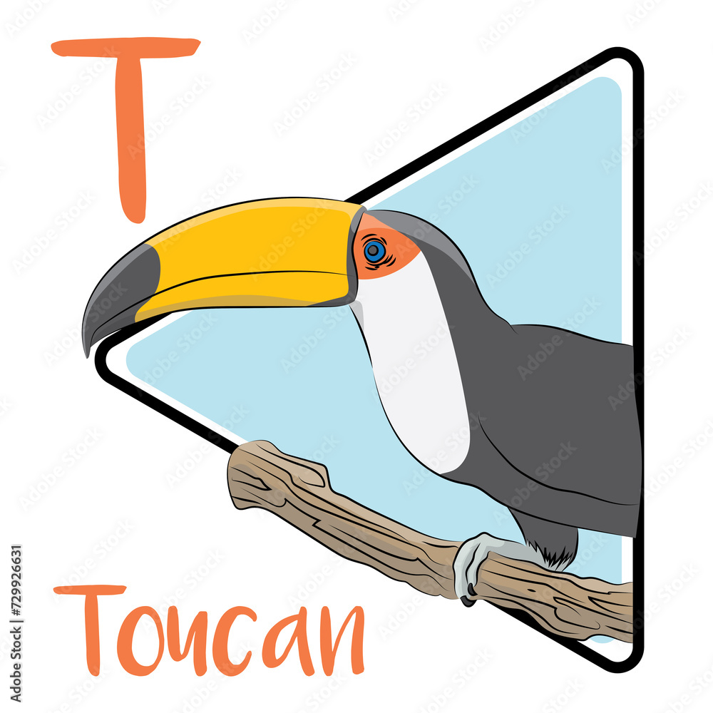 Toucans are arboreal and have large, often colorful bills. A toucan’s ...