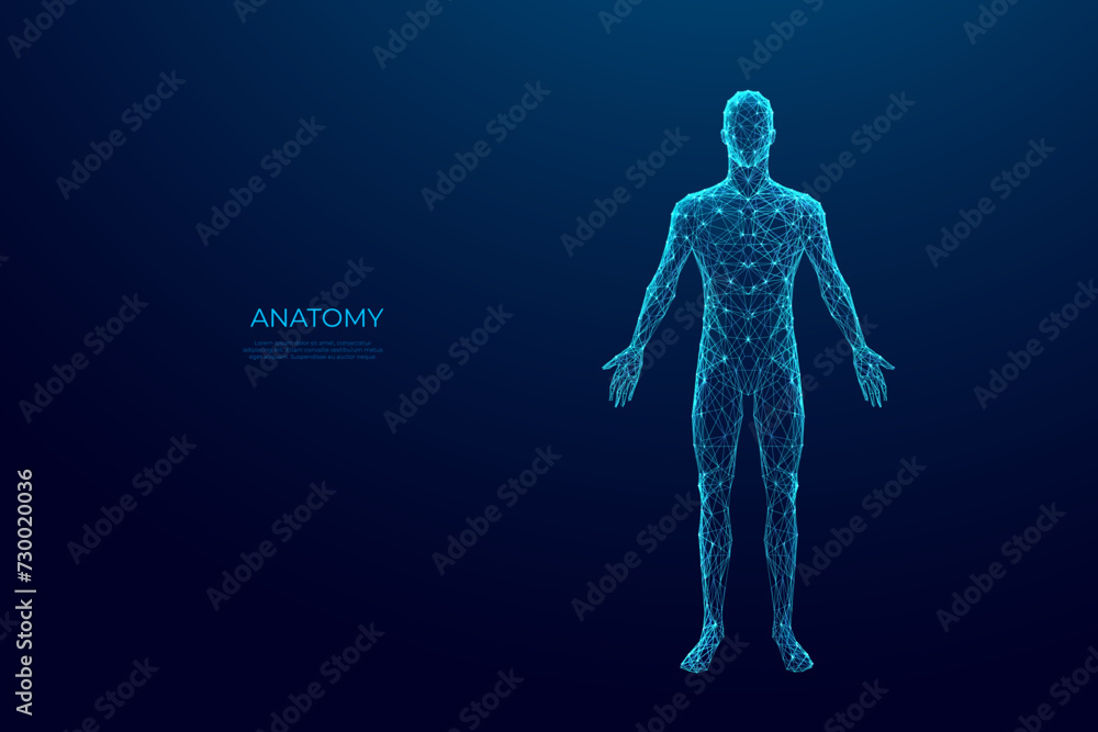 Abstract digital human body. Polygonal wireframe silhouette. Low poly ...