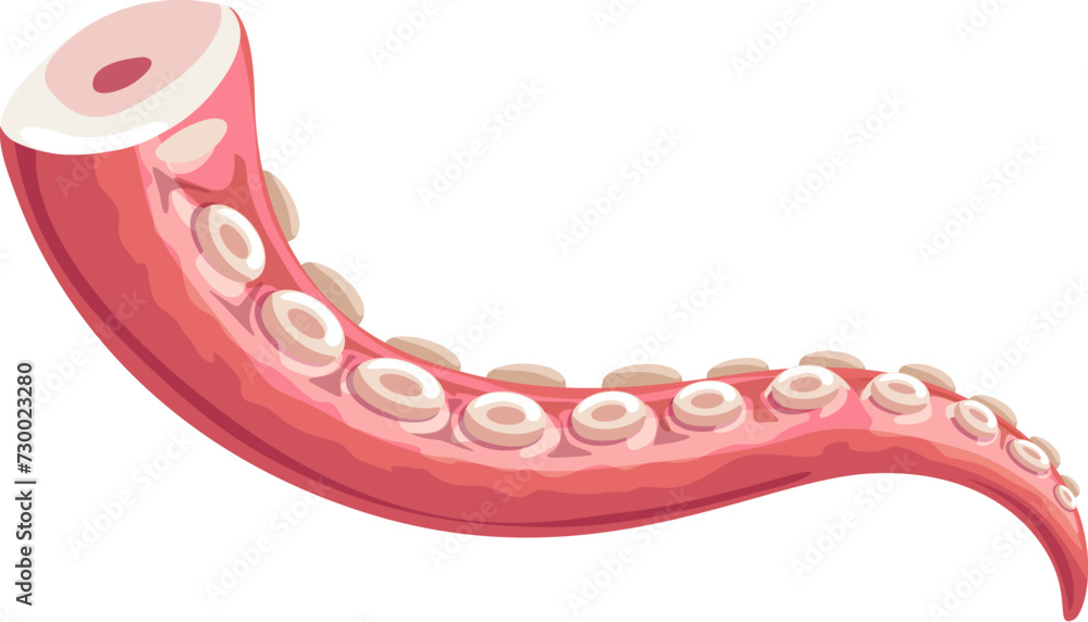 Octopus tentacle arm, cartoon seafood or sushi and sea food cuisine ...