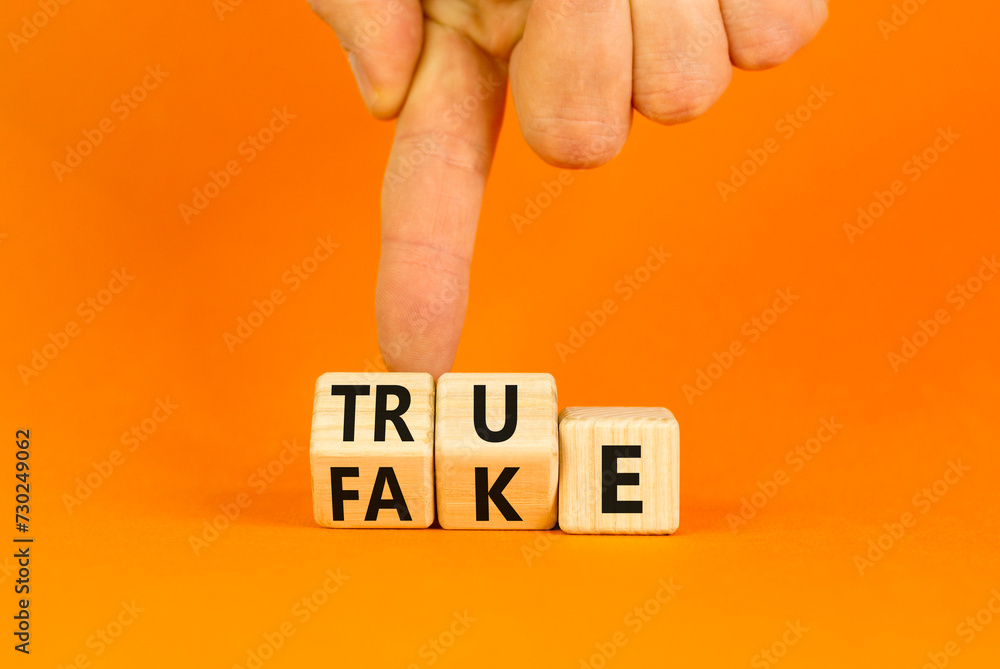 Fake or true symbol. Turned wooden cubes and changed the word fake to ...