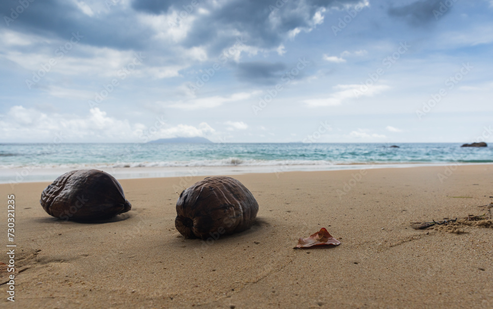 Landscape photo with two coconuts laying on Beau Vallon beach Stock ...