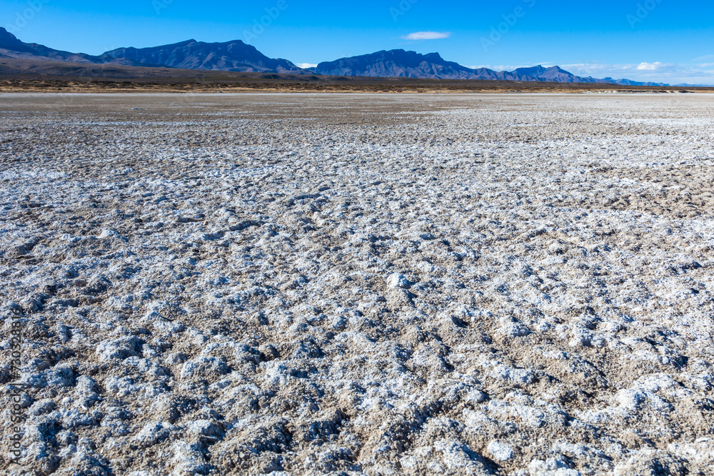 Gypsum crystals in the desert at the bottom of a former dried up ...