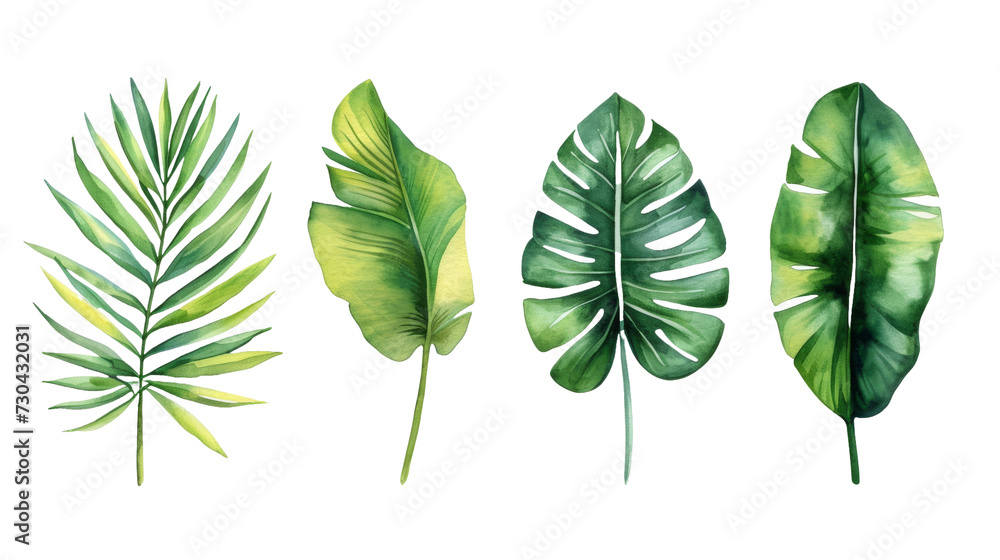 Vintage Watercolor Tropical leaves collection. palm leaf, monstera ...