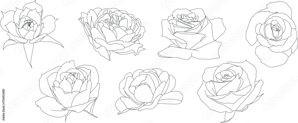 Flowers illustration set of line art roses isolated on white background ...