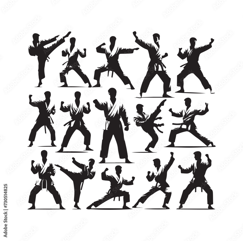 martial art Vector or karate silhouettes vector illustration Japan and ...
