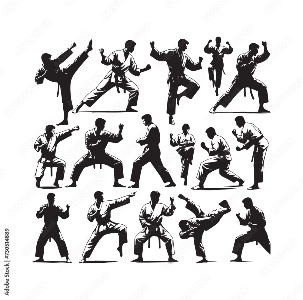 martial art Vector or karate silhouettes vector illustration Japan and ...