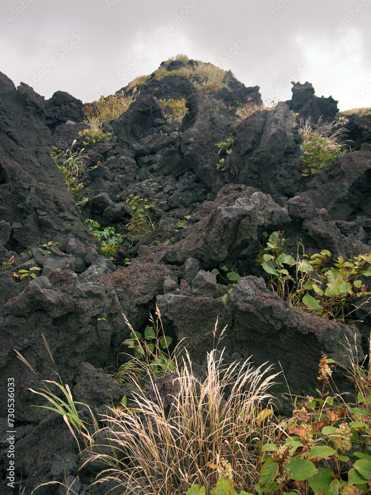 Fresh green grass grow on Frozen volcanic lava rock, Mount Mihara on ...