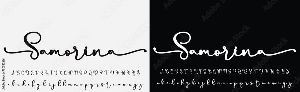 signature Font Calligraphy Logotype Script Brush Font Type Font ...