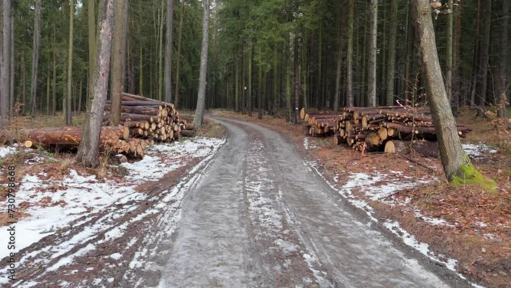 Timber cut and stacked for removal beside a forest road, with snow and ...