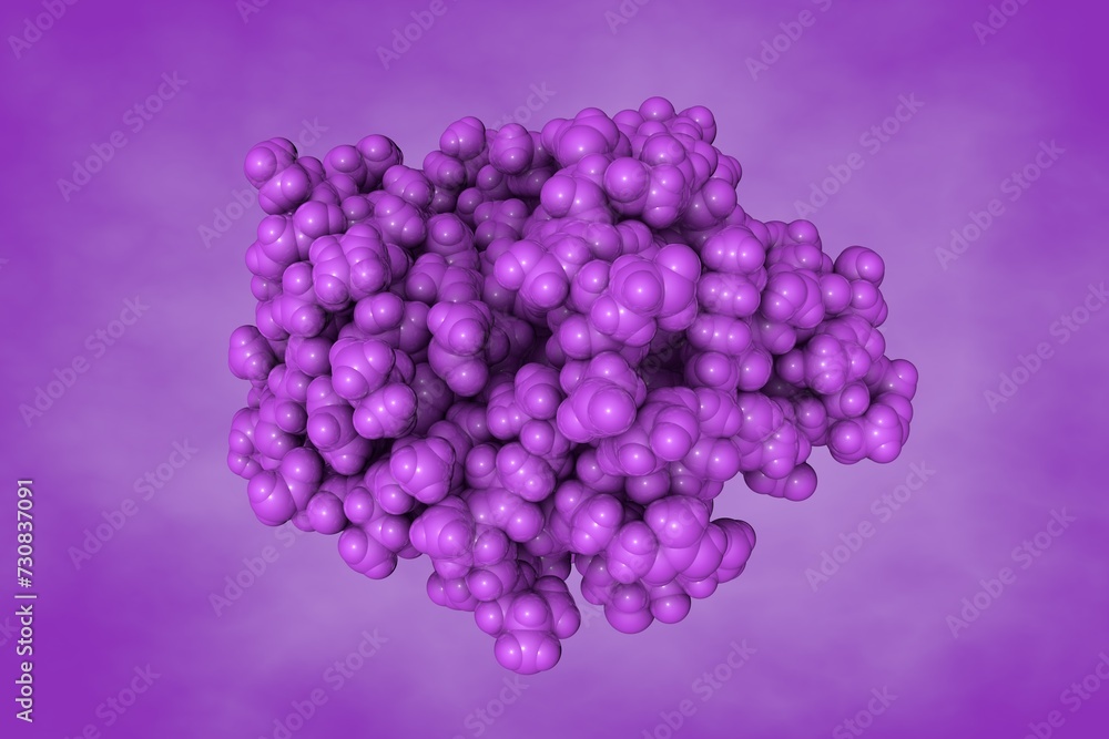 Structure of human sonic hedgehog in complex with zinc and magnesium on ...