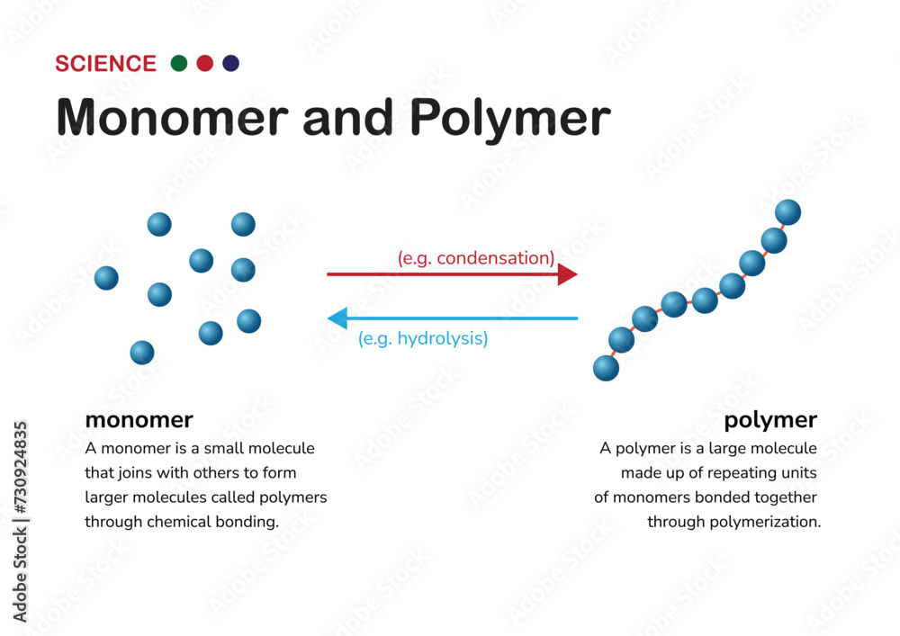 Understanding Chemistry: From Monomer to Polymer. Monomers, the ...
