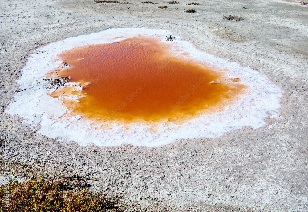 Subsidence funnels on salt marsh are filled with lakes of diverse ...