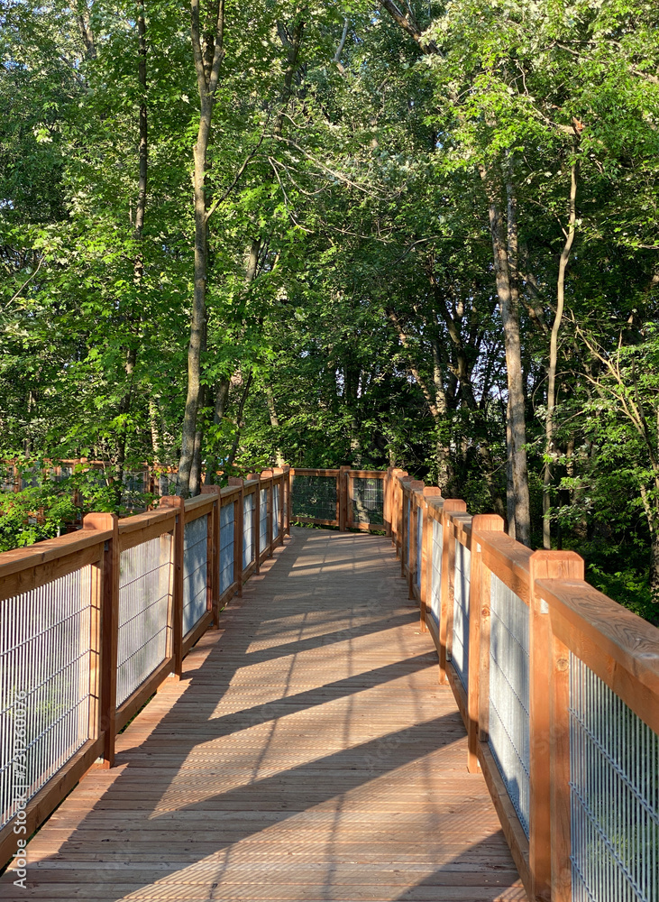 Wooden bridge in the forest. Elevated walkway in a wetland. Boardwalk ...