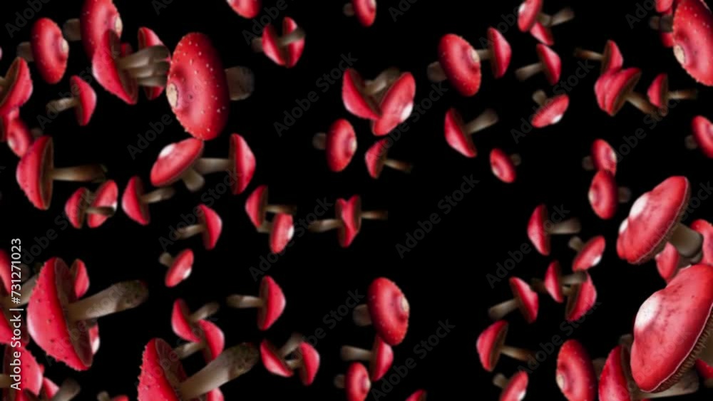 Red Poisonous Mushrooms Falling On Black Background. Toxic Poisonous ...