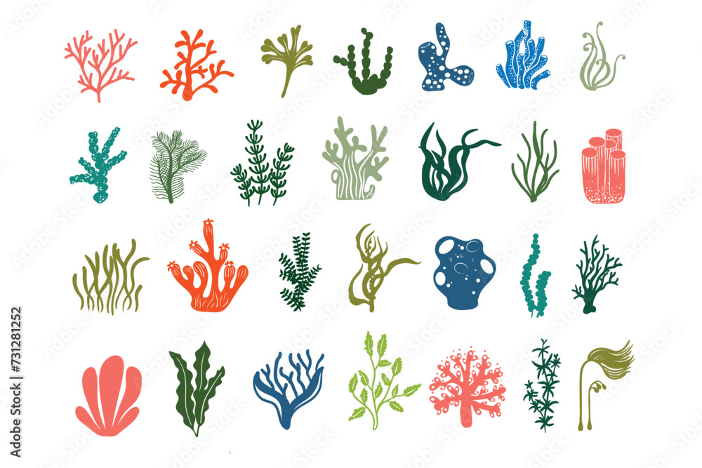 Coral, seaweed, coral, seaweed, sea life, ocean life, coral, hawaii ...