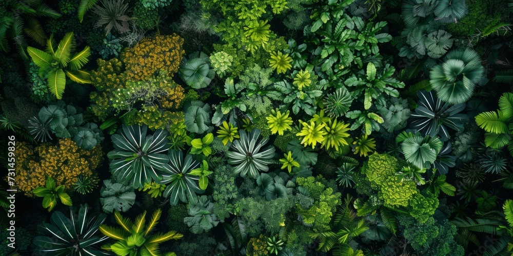 The rich biodiversity of our planet with striking images of flora ...