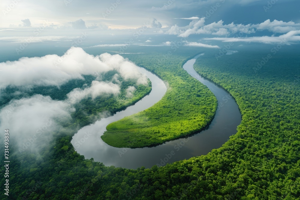 A sinuous river winds its way through a lush green forest, creating a ...