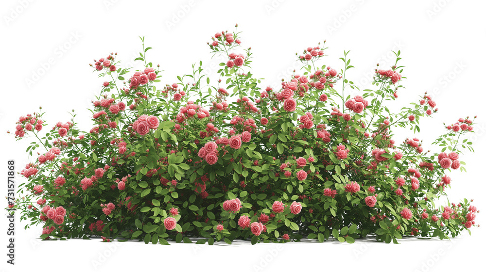 imagine bush of flowers isolated on transparent background Stock Photo ...