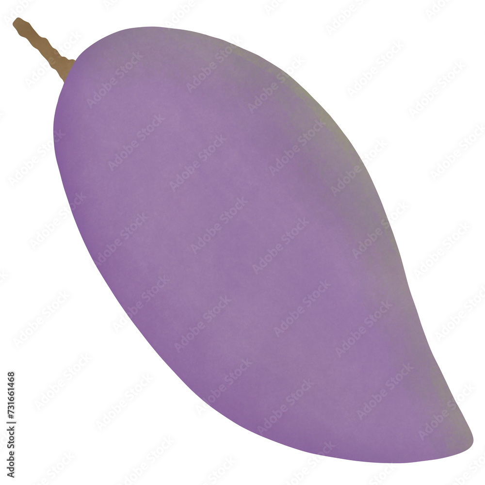 Mango tree Nam Dork Mai,Jin- Ching Mango,Barracuda Mango, Mangifera ...