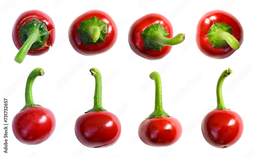 Cherry hot peppers isolated on white background. Red cherry chili ...