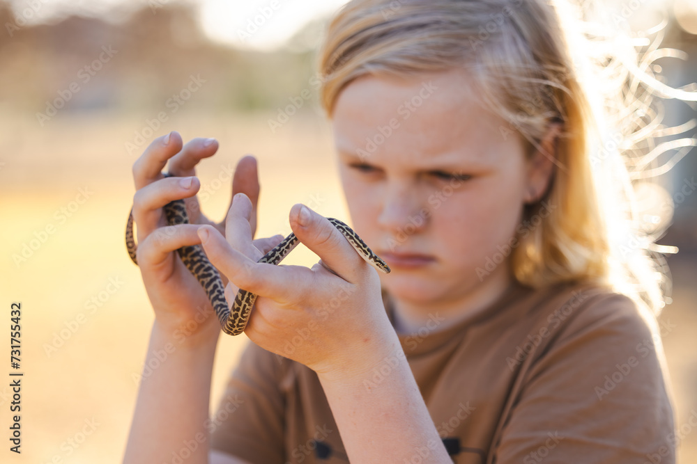 Pre-teen adolescent boy holding pet children's python snake Stock Photo ...