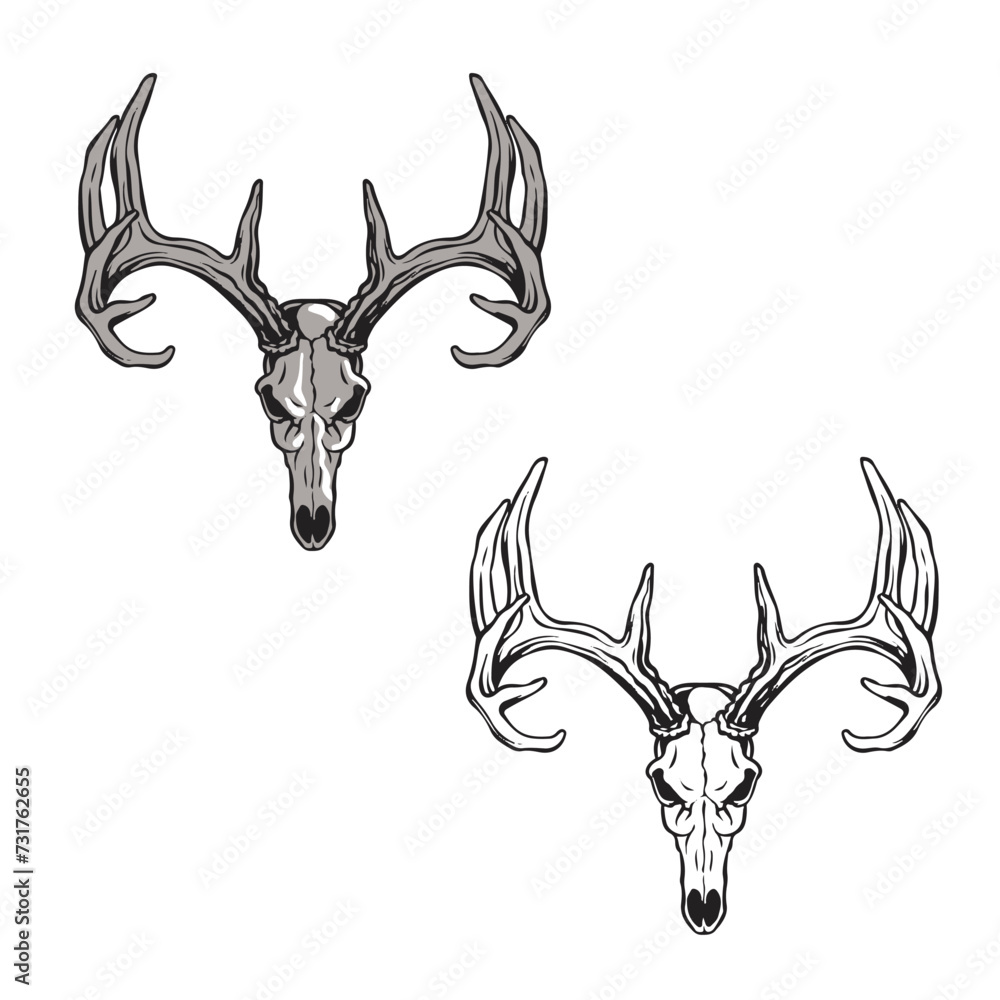 deer skull vector illustrations. drawing with line-art on white ...