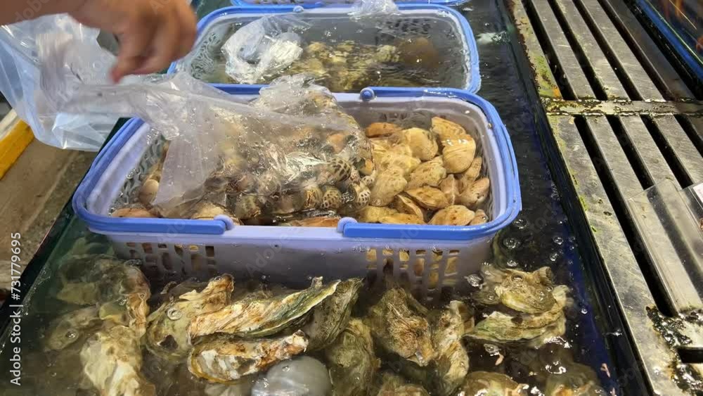 Molluscs, live shells in the pelvis. seashells seafood Stock-Video ...