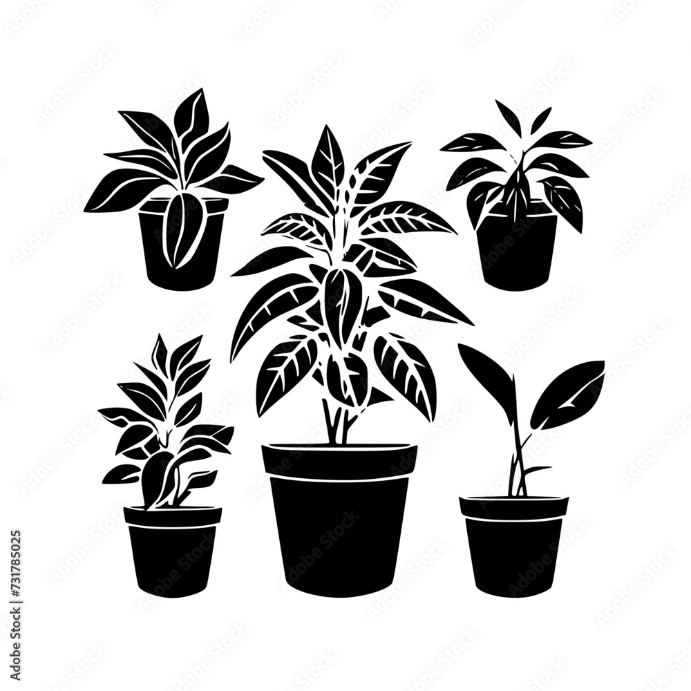 botanical svg, floral svg, flower svg, botanical clipart, floral ...