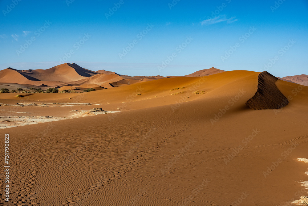 magical beauty yellow mountains, dry dead trees and a desert plain ...