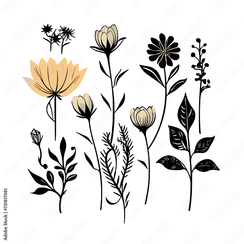 botanical svg, floral svg, flower svg, botanical clipart, floral ...