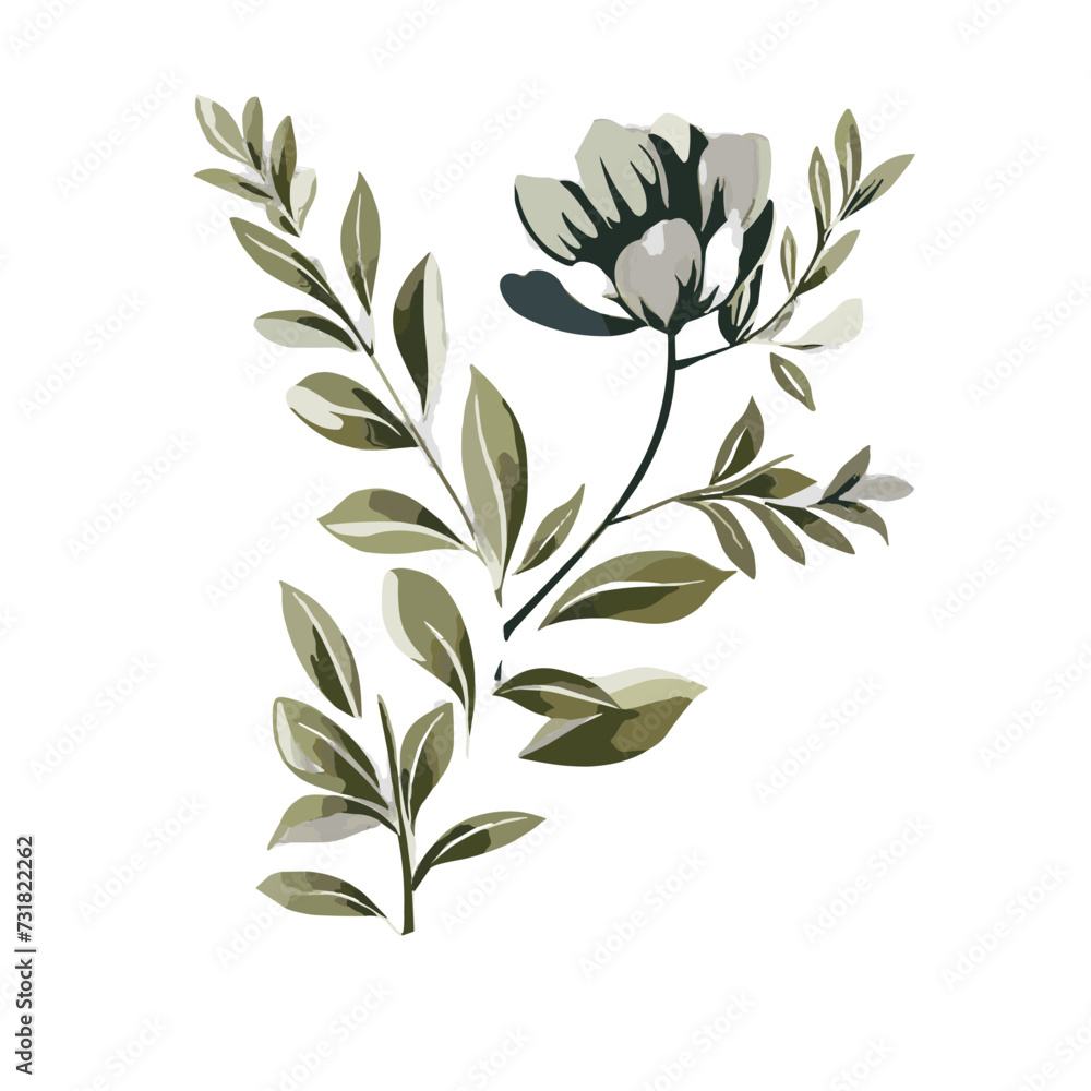 botanical svg, floral svg, flower svg, botanical clipart, floral ...