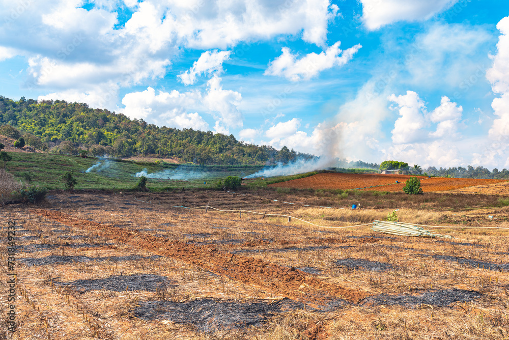 Slash-and-burn agriculture in the Chiang Mai province in northern ...