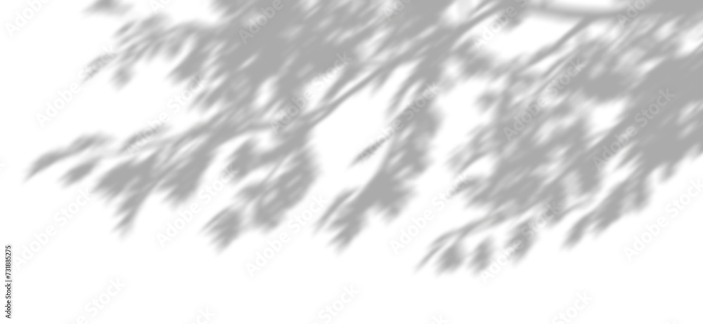 Tree limbs with shade movement realistic graphic on transparent ...