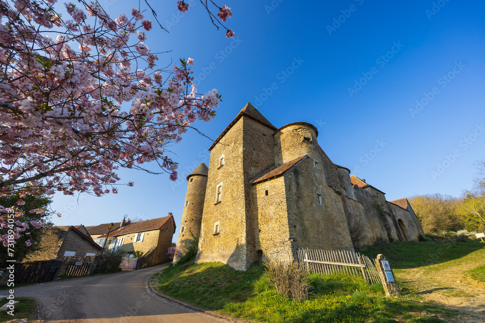 Chateau de Bissy-sur-Fley too Chateau de Pontus de Tyard, Bissy-sur ...