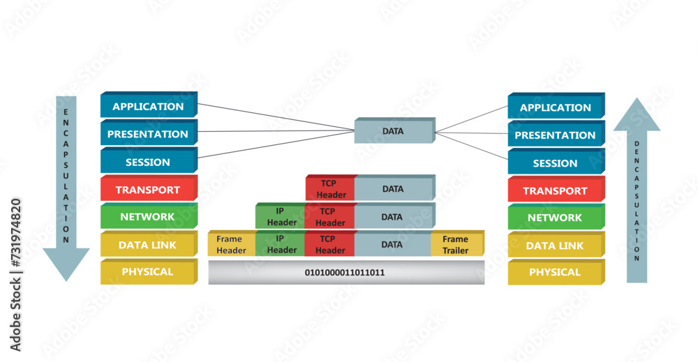 Encapsulation And Deencapsulation Proces In Osi Reference Model Vector Stock Vector Adobe Stock