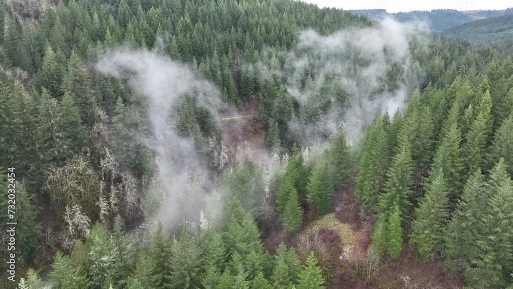 Mist drifts through the scenic Molalla River Valley, Oregon, home to ...