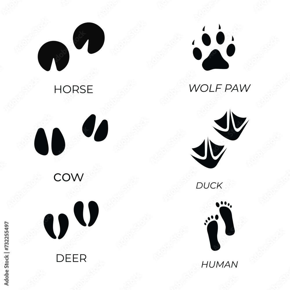 Animals footprints, paw prints. Set of different animals and birds footprints and traces. Cat ...