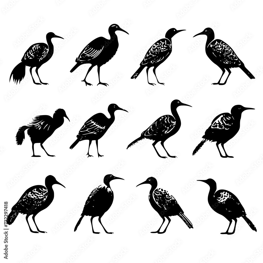 bird, birds, animal, vector, illustration, cartoon, set, cute, duck ...
