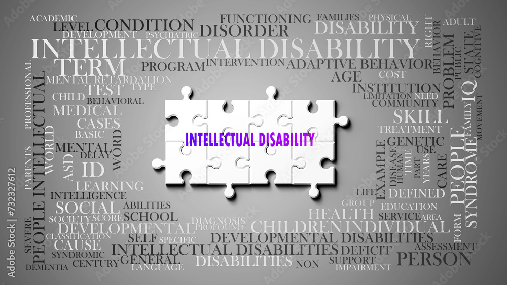 Intellectual Disability as a complex subject, related to important ...