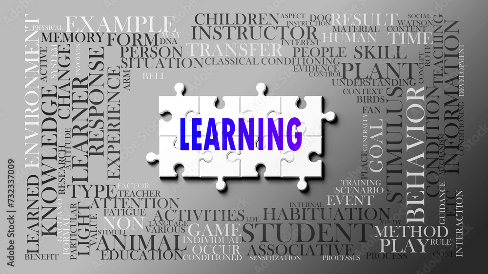 Learning as a complex subject, related to important topics. Pictured as ...