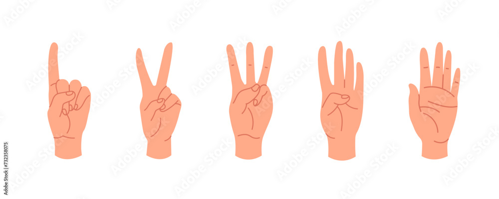 A set of human hand gestures showing the count on the fingers from one to five. The hands show ...